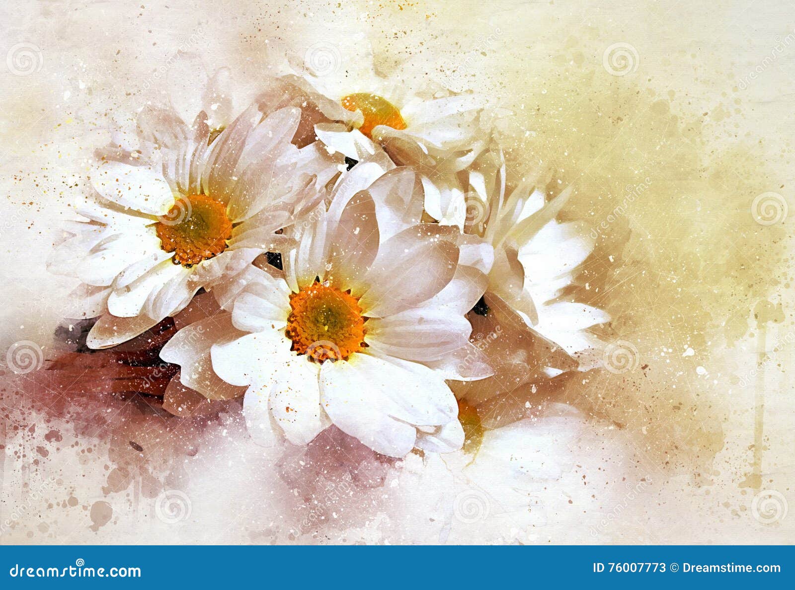 White daisies stock illustration. Illustration of chic - 76007773
