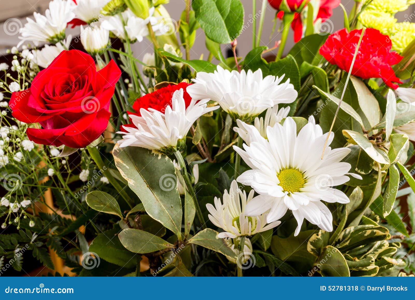 White Daisies with Red Roses Stock Photo - Image of floral, bouquet ...