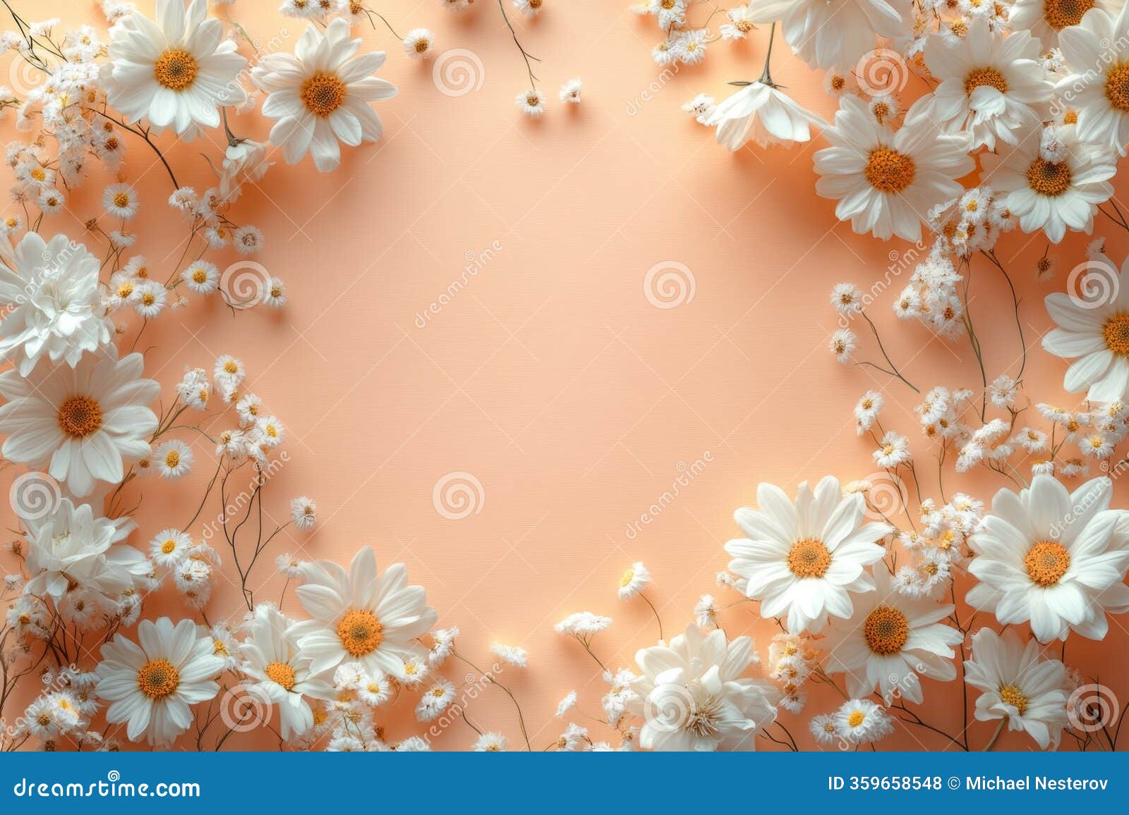 White Daisy Flowers Creating a Frame on a Peach Colored Background with ...