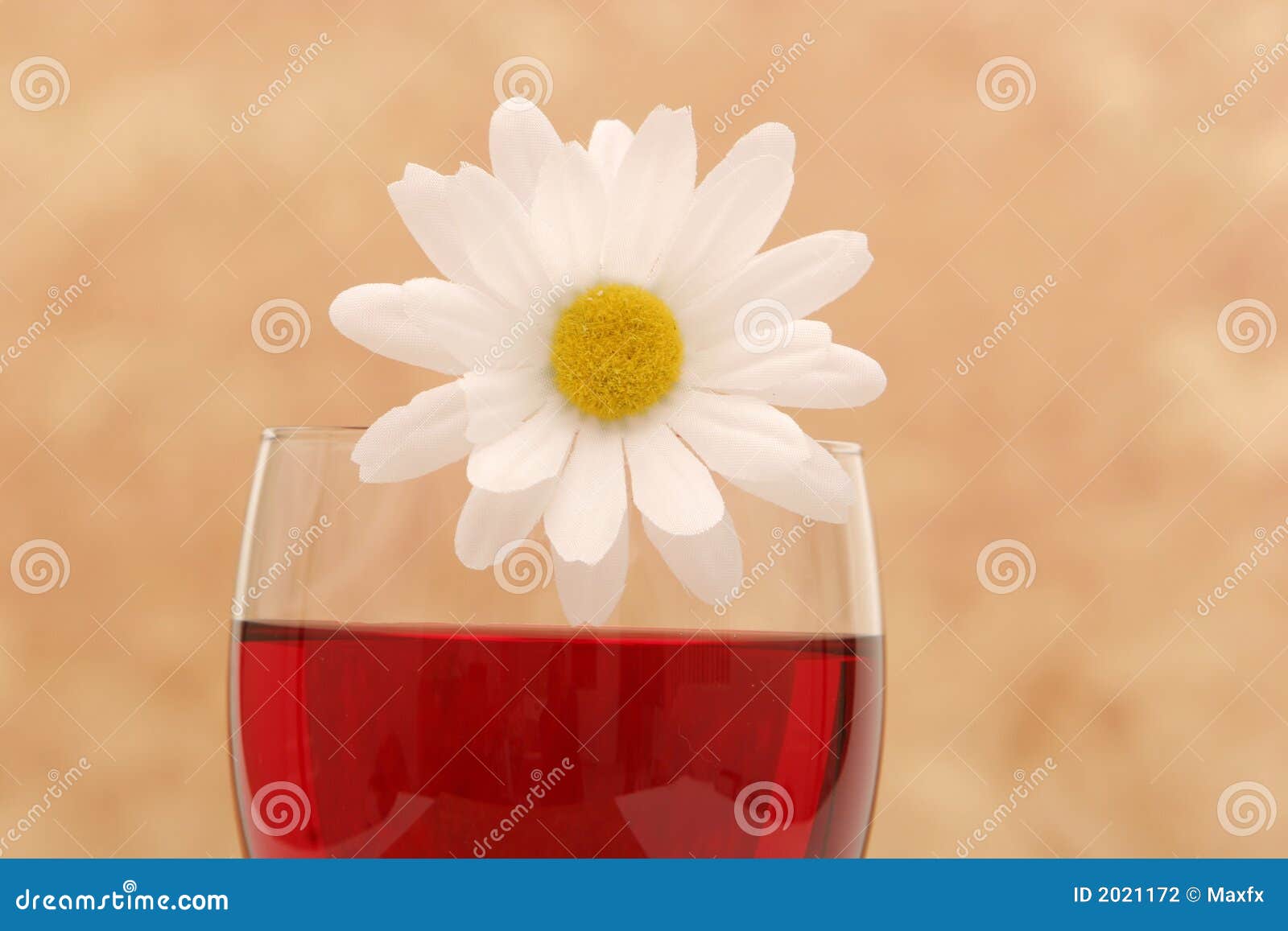 610 Daisy Wine Stock Photos - Free & Royalty-Free Stock Photos from ...