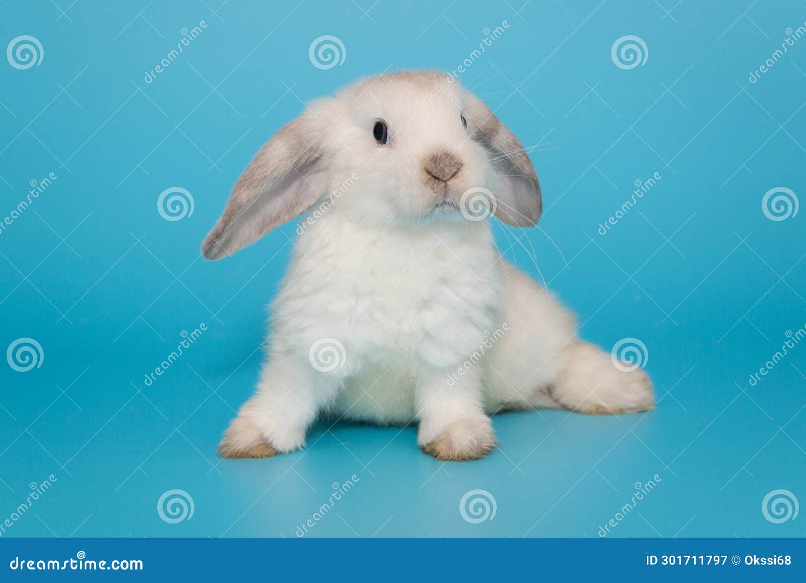 White Decorative Fold Rabbit Stock Image - Image of young, hare: 301711797
