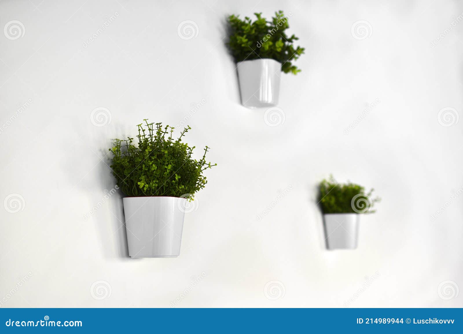 White Decorative Pots with Greenery on a White Wall Stock Photo - Image ...