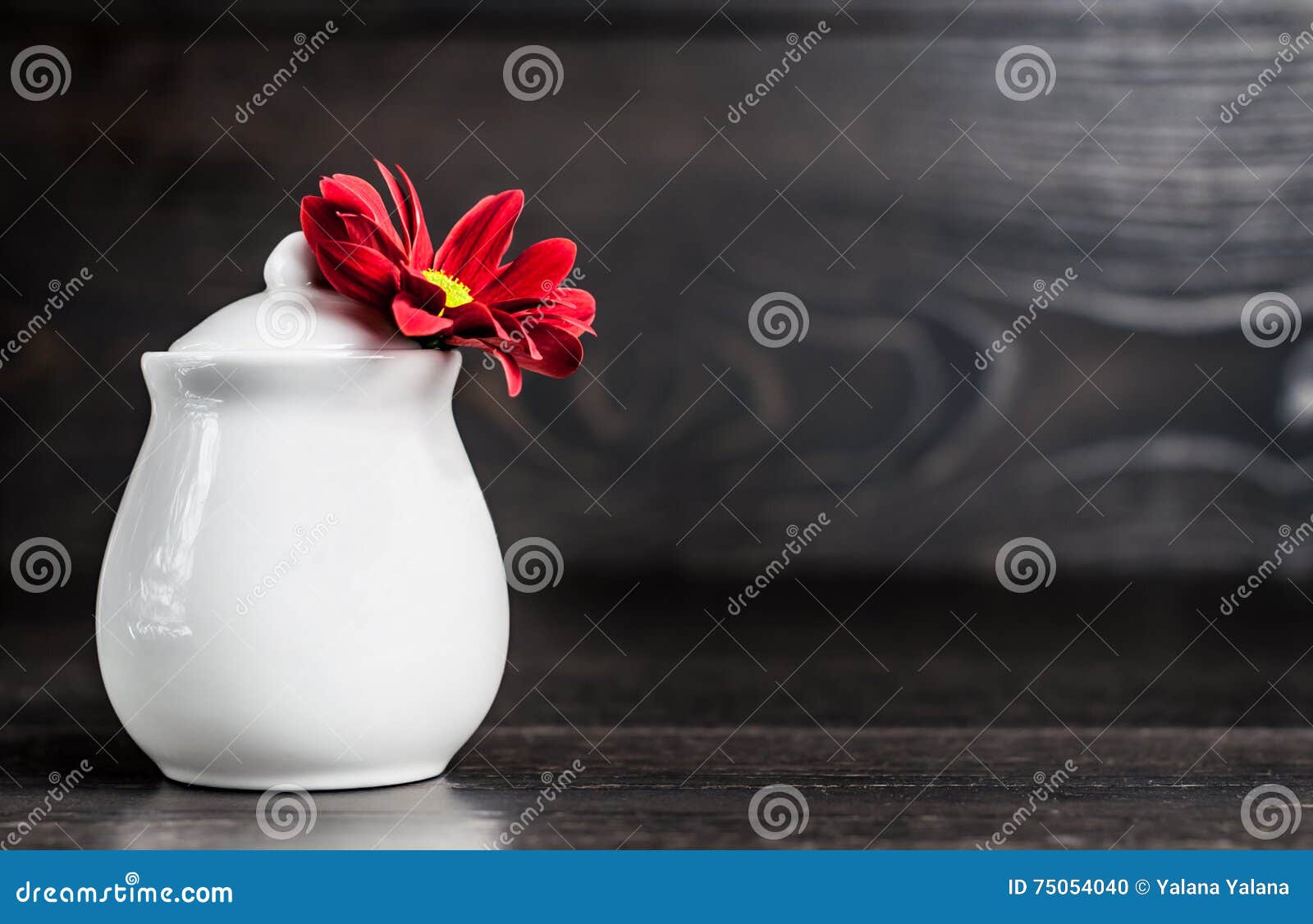 White Decorative Vase on the Table Stock Photo - Image of daisy ...