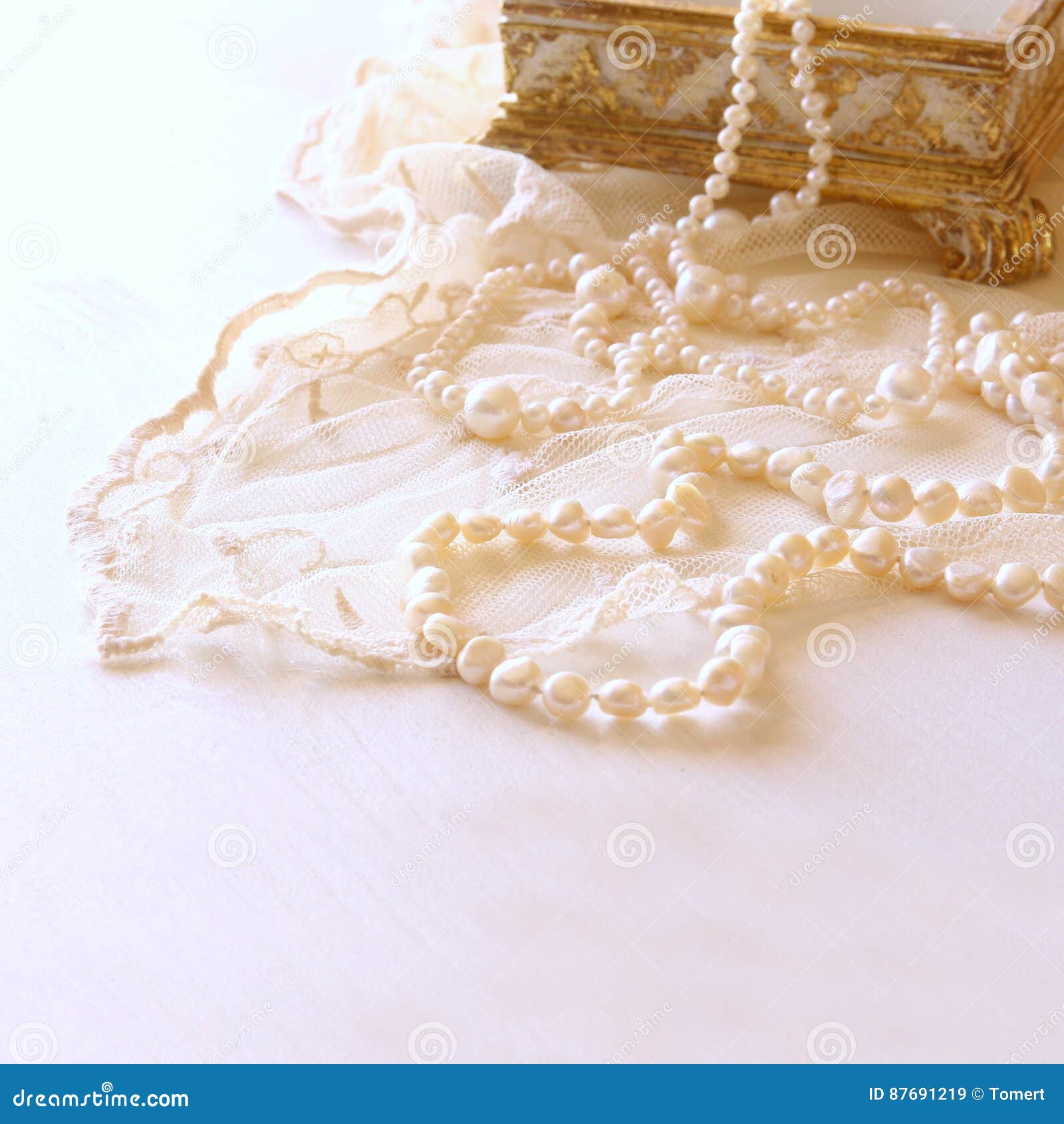 Delicate Lace Stenciling On Soft Fabric With Vintage-Inspired Patterns ...