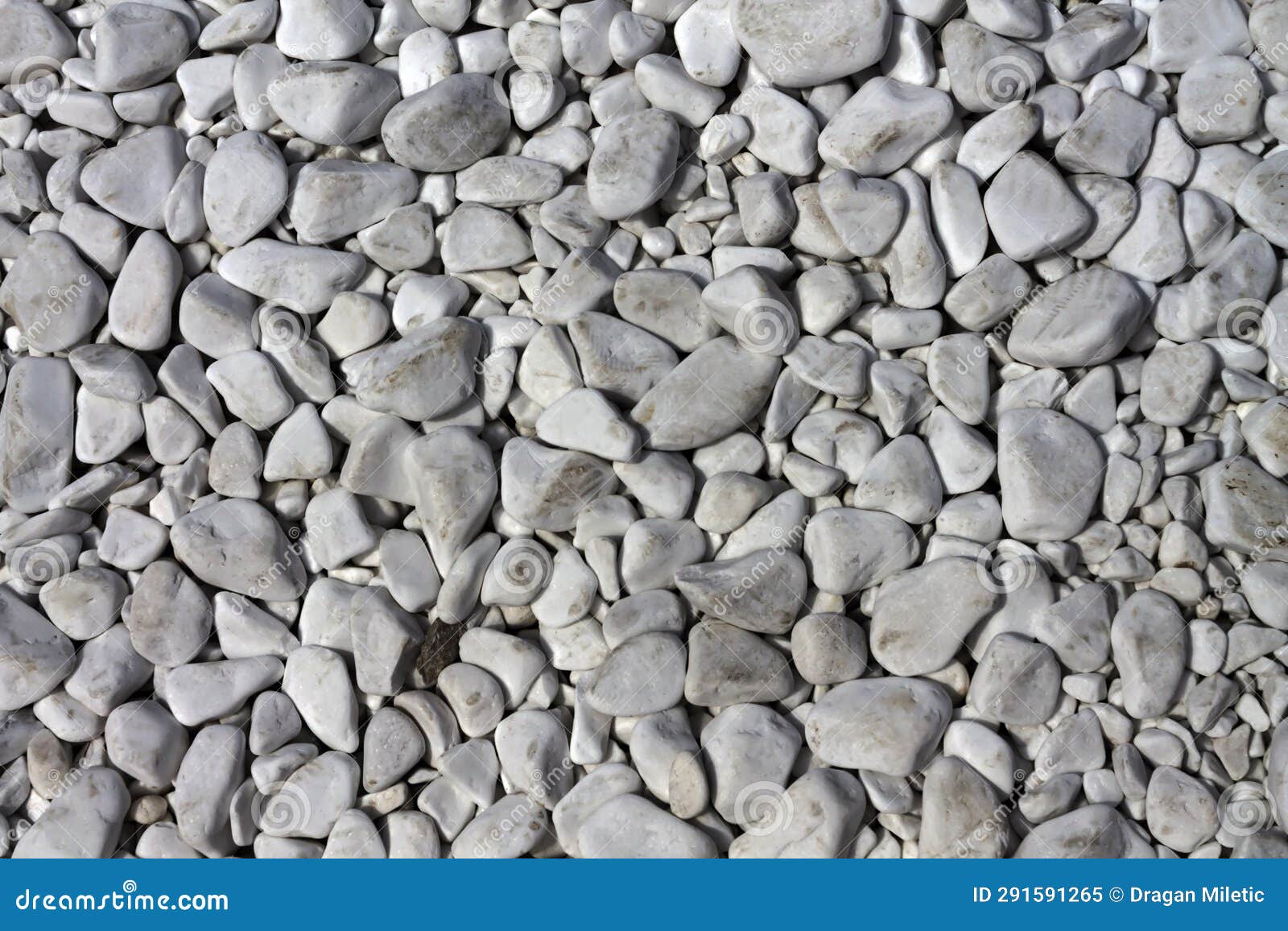 White dirty pebbles stock image. Image of soil, texture - 291591265