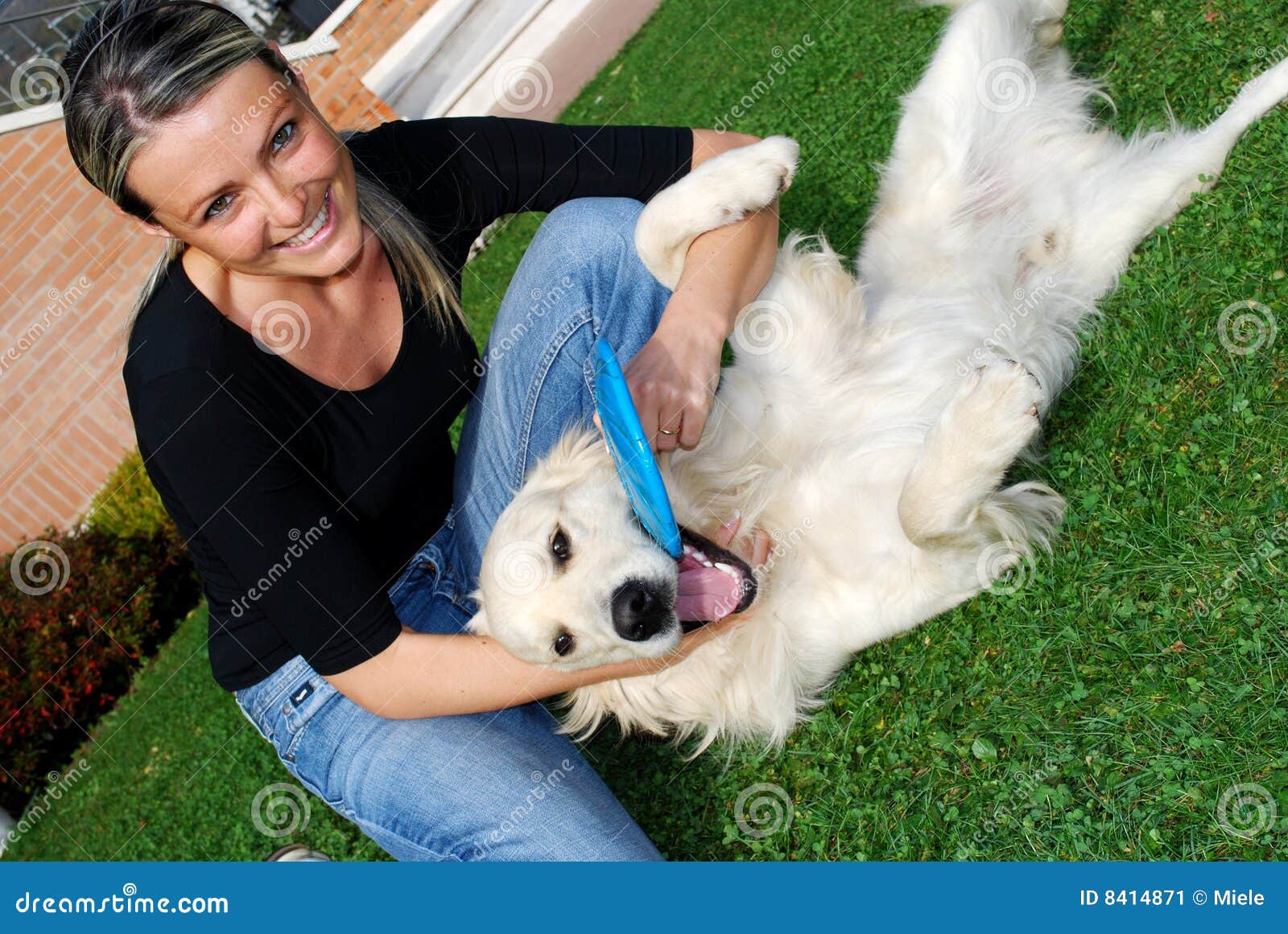 White dog and happy girl stock image. Image of golden - 8414871