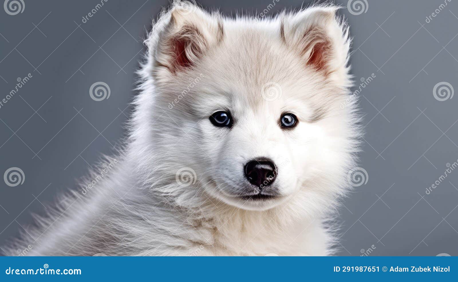 A White Dog with a Red Mark on Its Head Stock Illustration ...