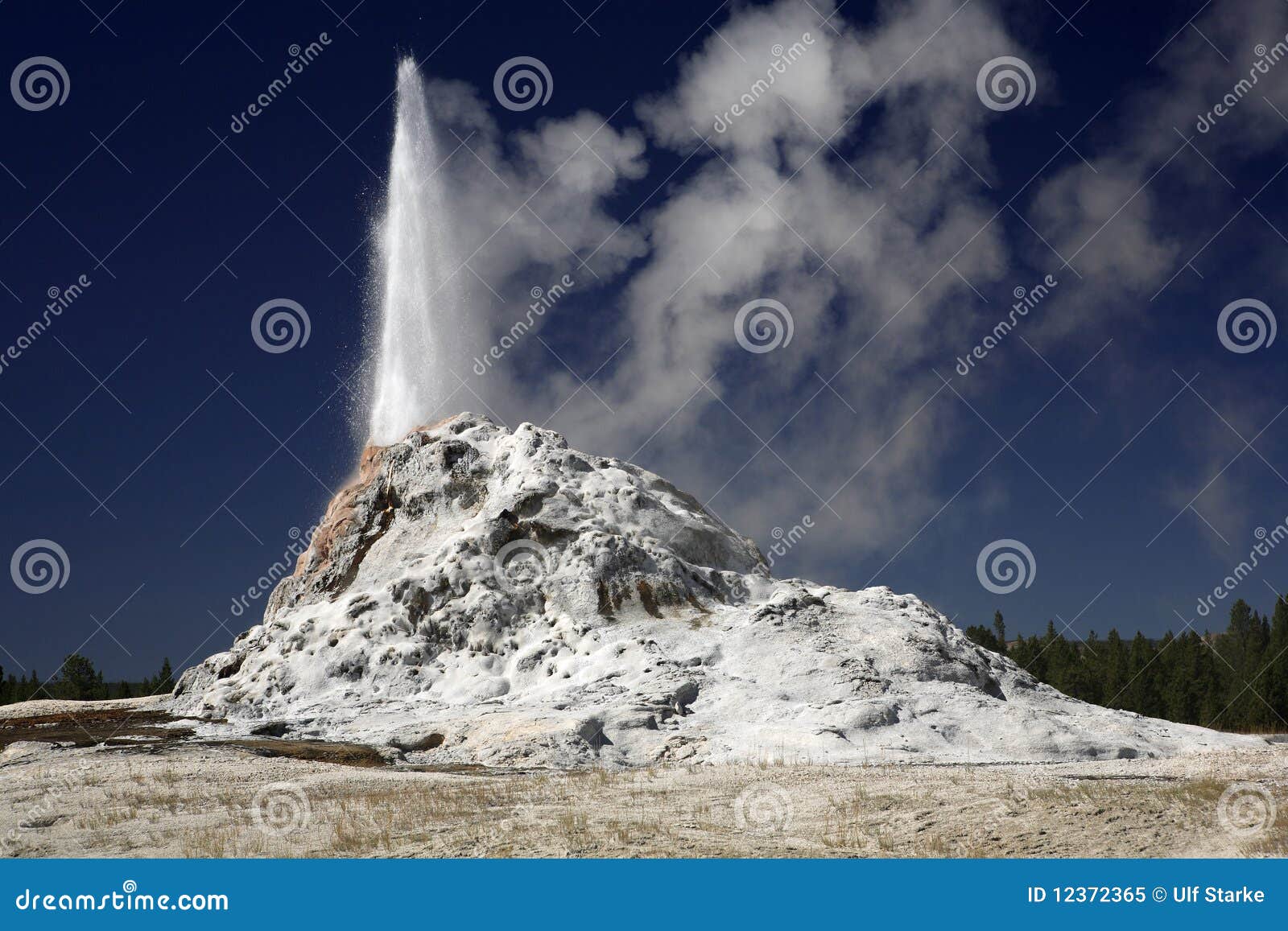White Dome Geyser stock image. Image of erdwacurren, yellowstone - 12372365