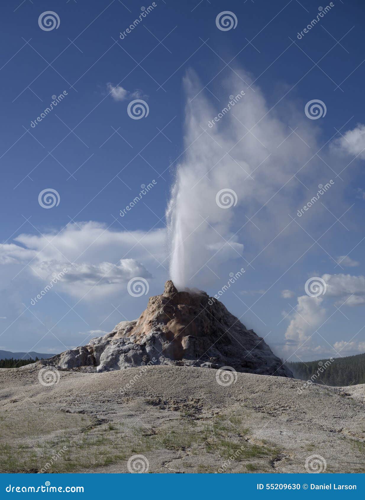 White Dome Geyser stock photo. Image of basin, white - 55209630