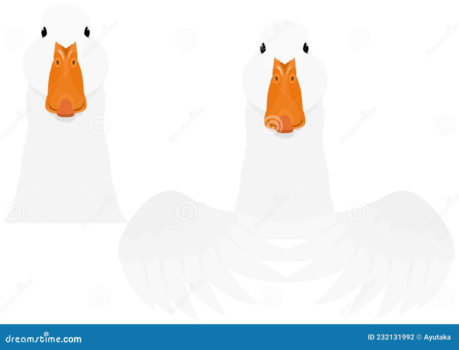 White Domestic Duck Head and Upper Body Bundle Stock Vector ...