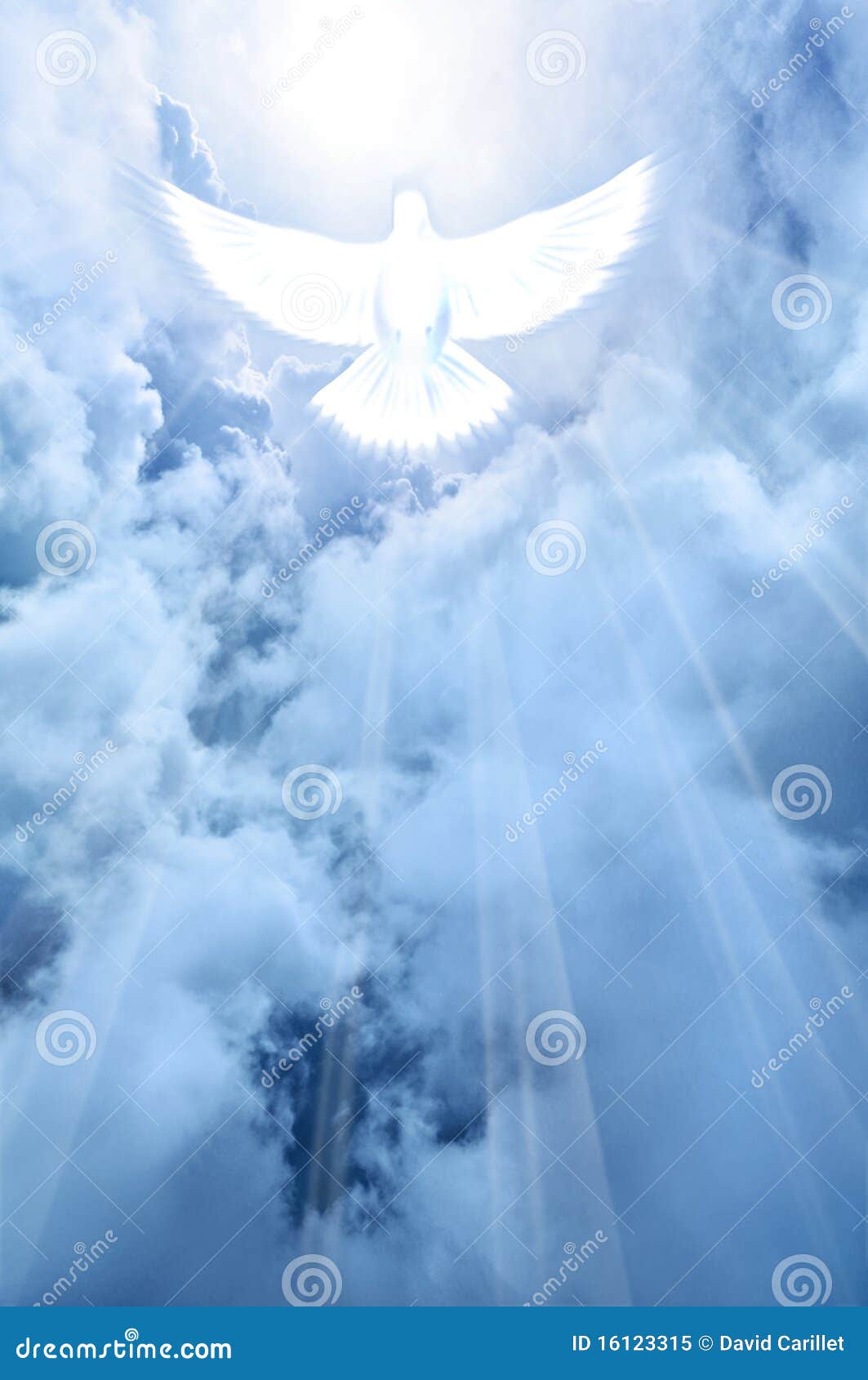 Descending Dove Symbol