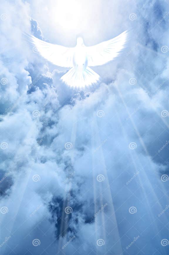 White Dove Descending from the Clouds Stock Illustration - Illustration ...