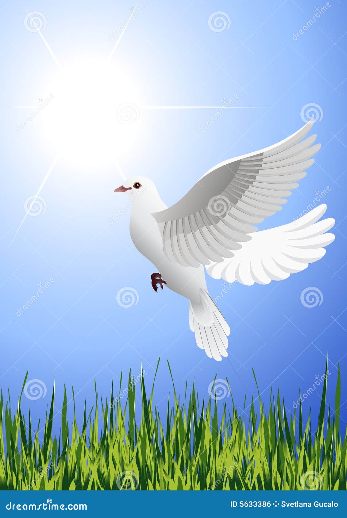 Dove Flying Above Stock Illustrations – 216 Dove Flying Above Stock ...