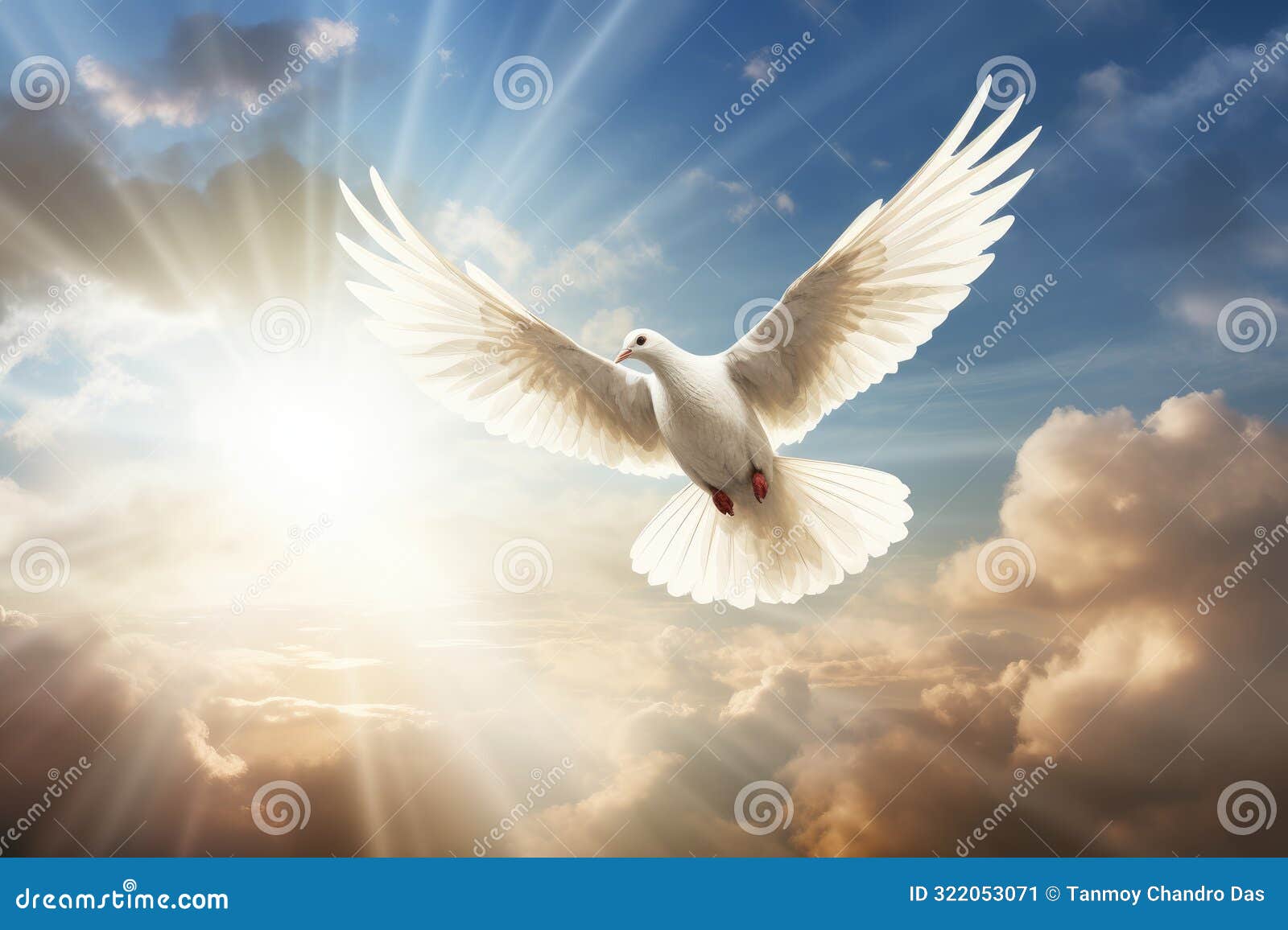 White Dove Flying in the Blue Sky with Sun Rays and Clouds. White Dove ...