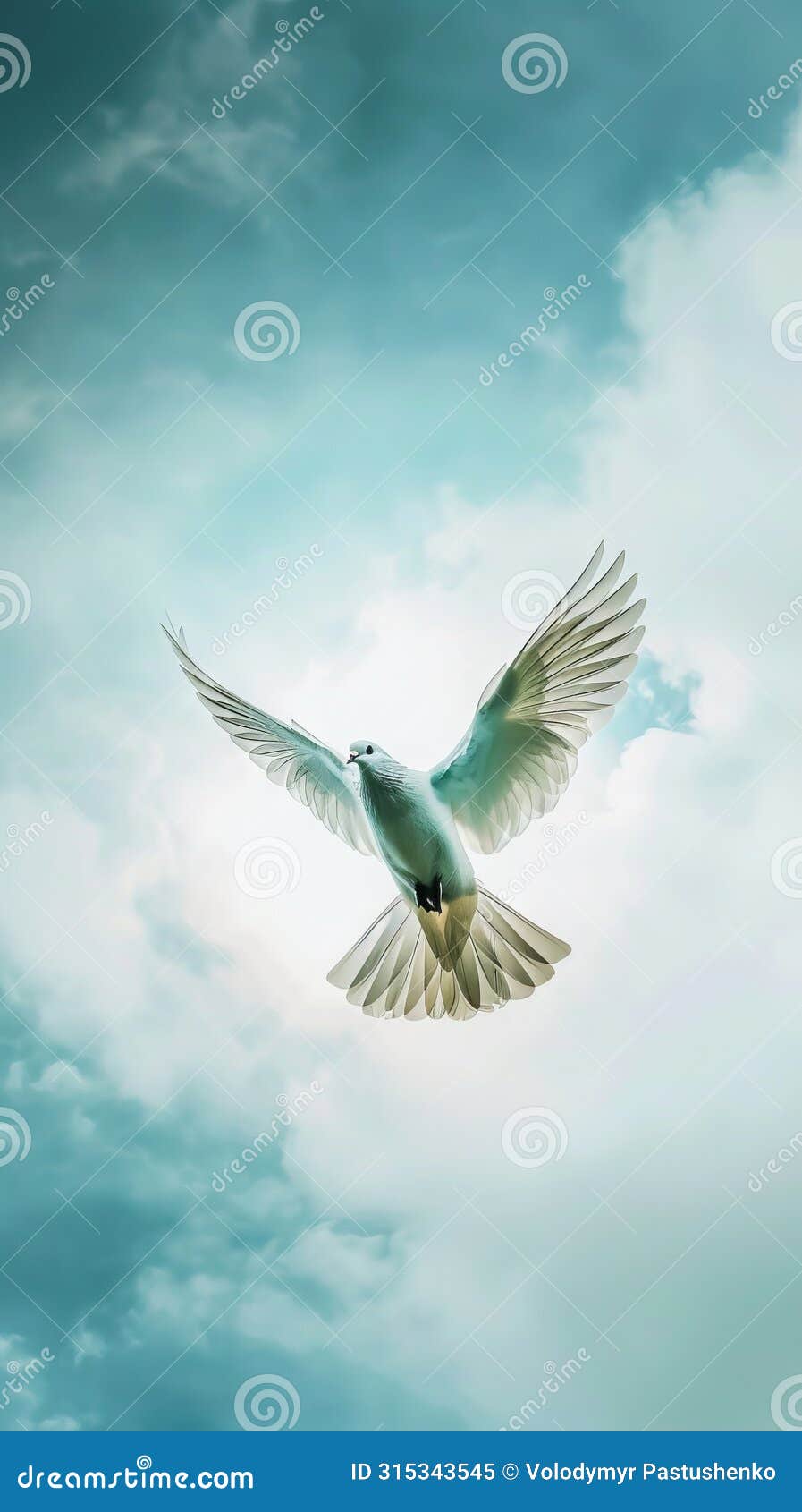 A White Dove Flying in the Sky with Clouds Stock Image - Image of dive ...