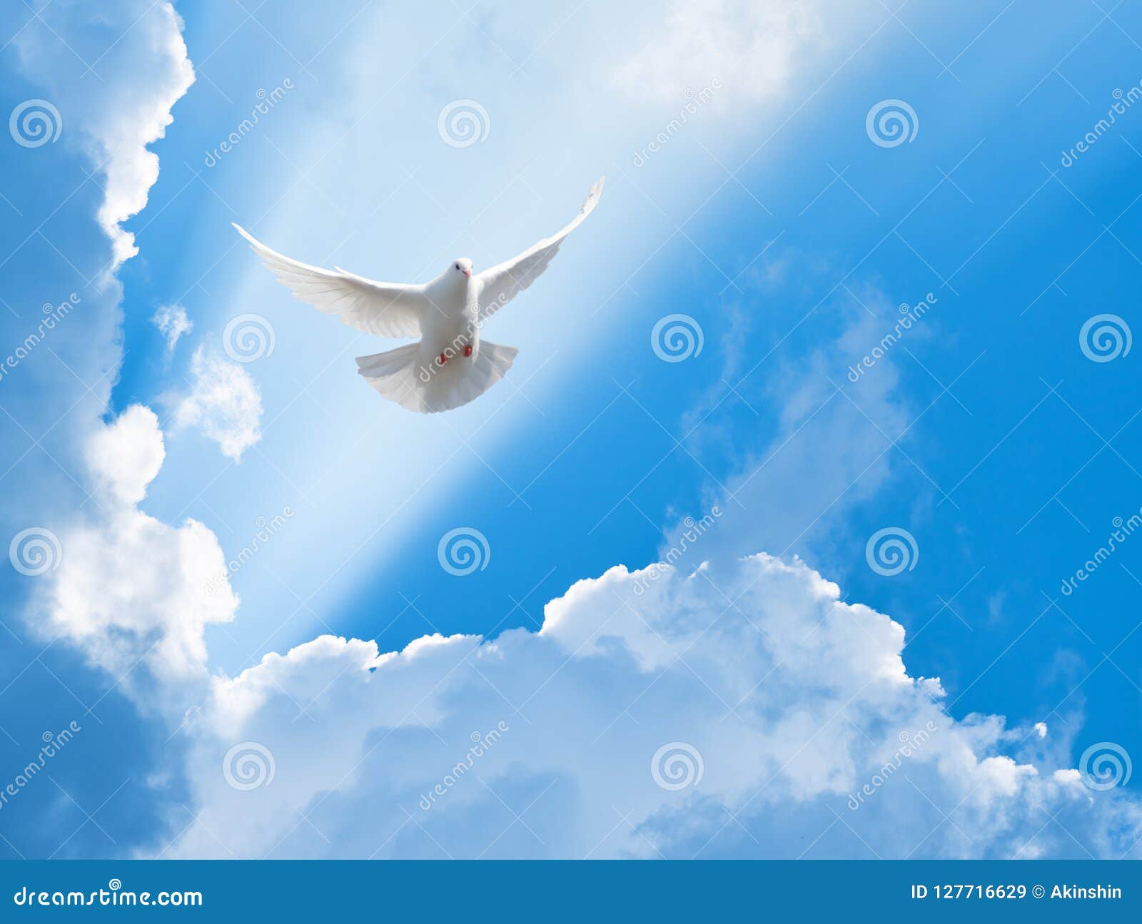 166 Dove Ray Sun Photos - Free & Royalty-Free Stock Photos from Dreamstime