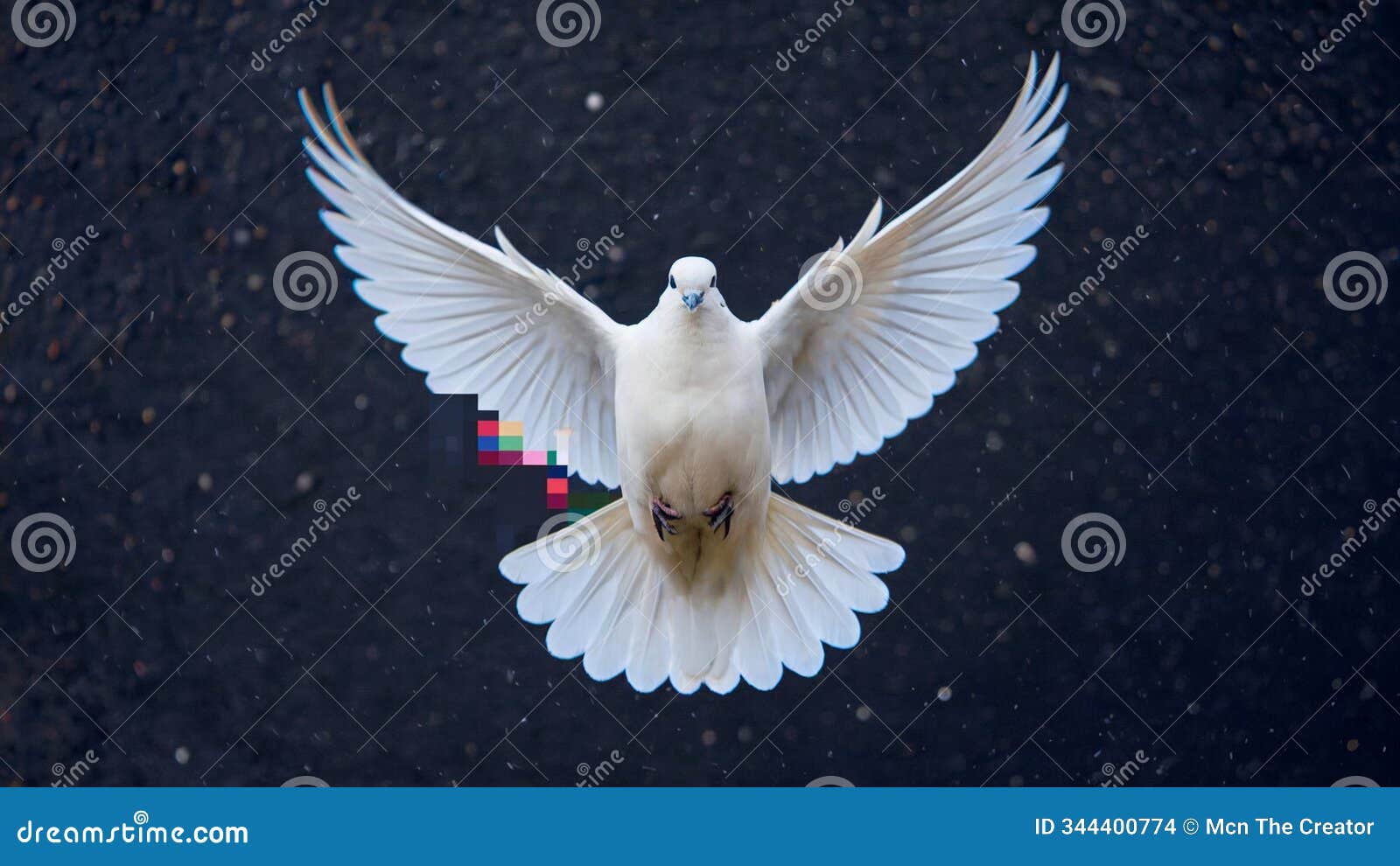 A White Dove in Mid-flight Against a Dark, Speckled Background. Stock ...