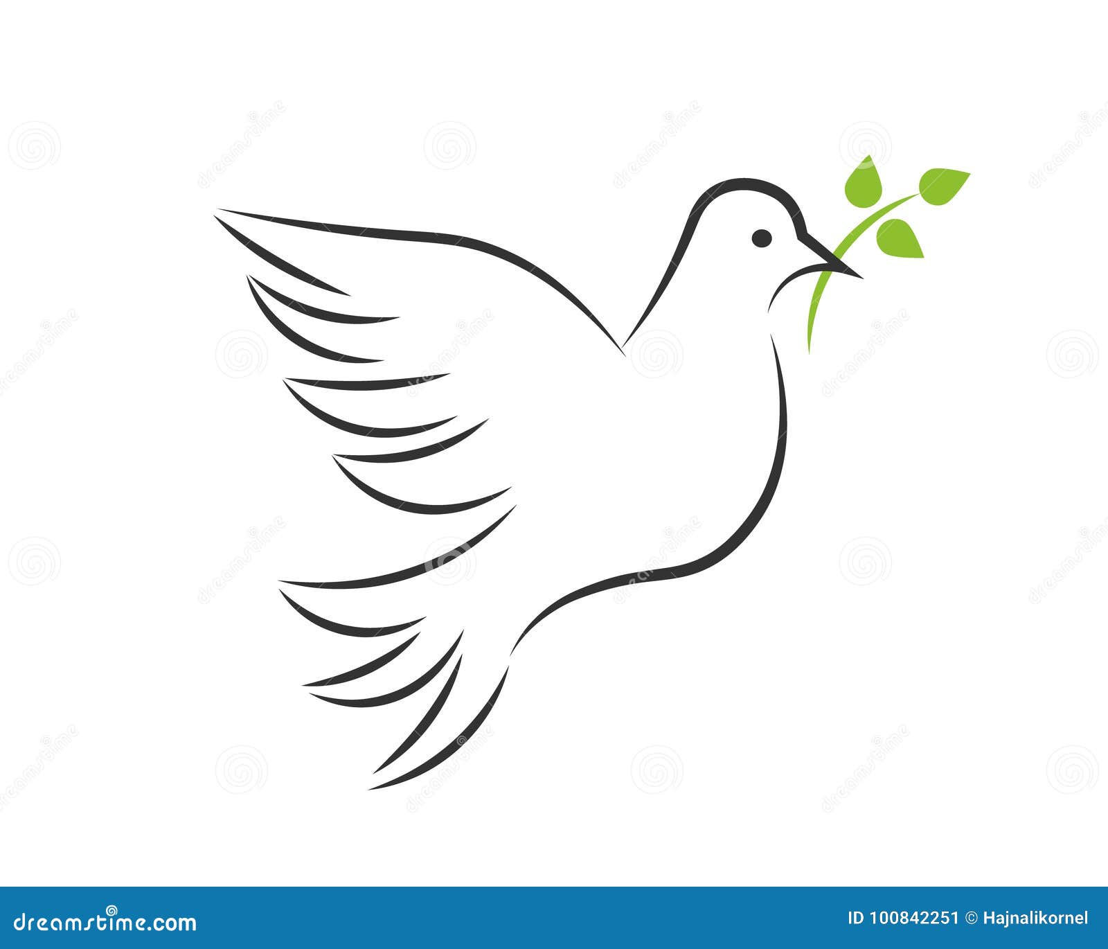 White Dove With Branch Stock Vector Illustration Of Vector 100842251