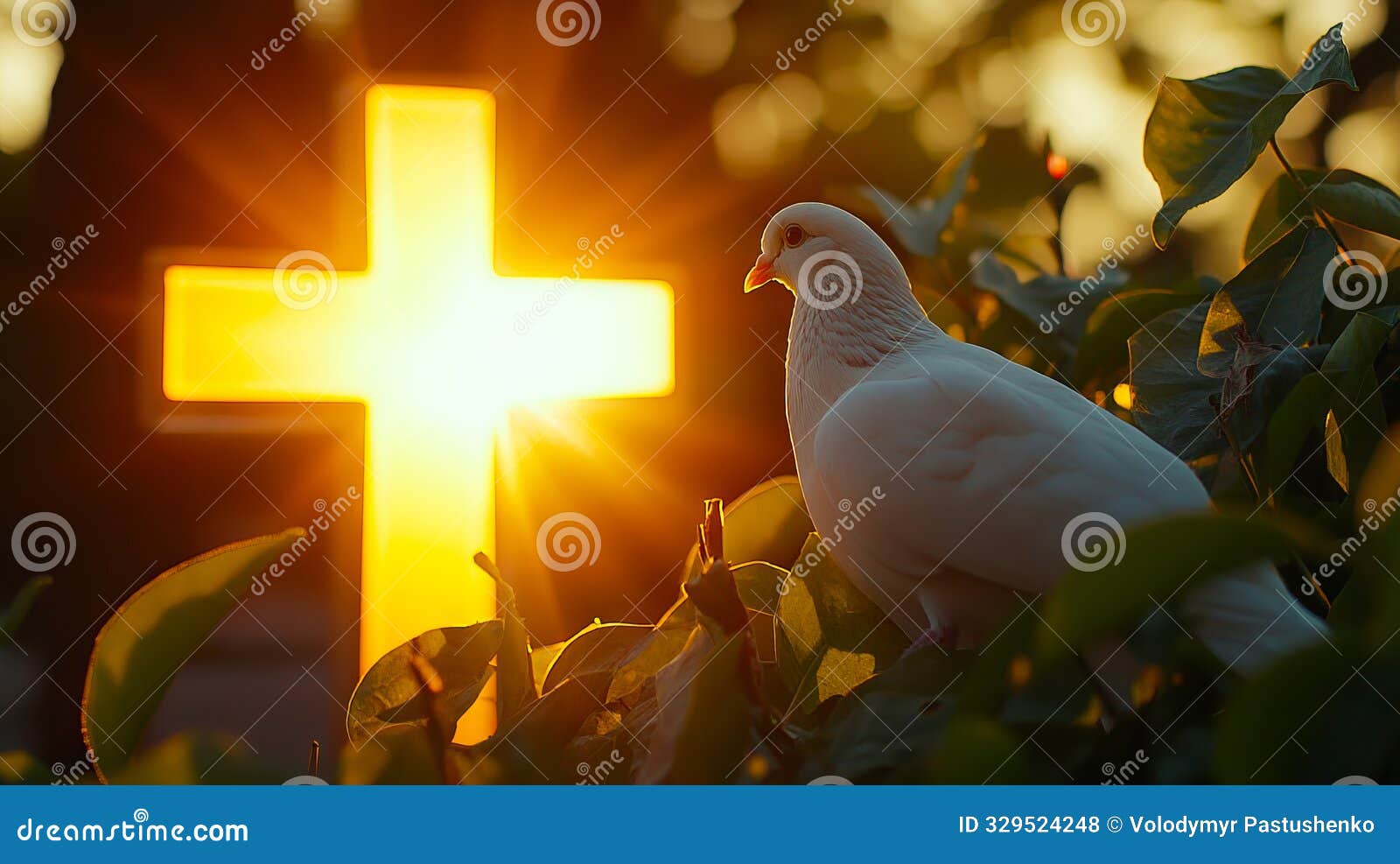 A White Dove Sitting on Top of a Tree Next To a Cross Stock Photo ...