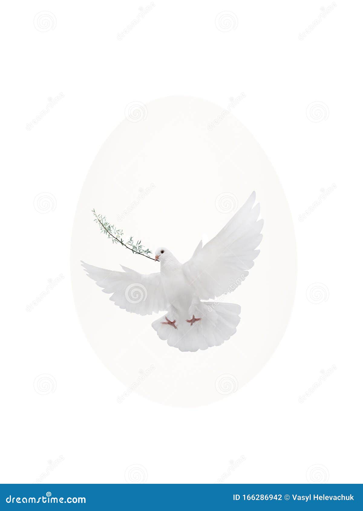 The Dove: Symbol Of The Holy Spirit That Appeared At The Baptism Of ...