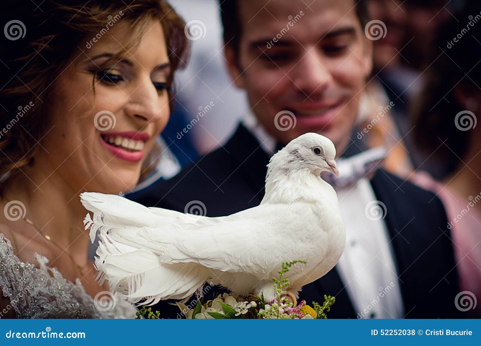 White dove. wedding couple stock photo. Image of ceremony - 52252038