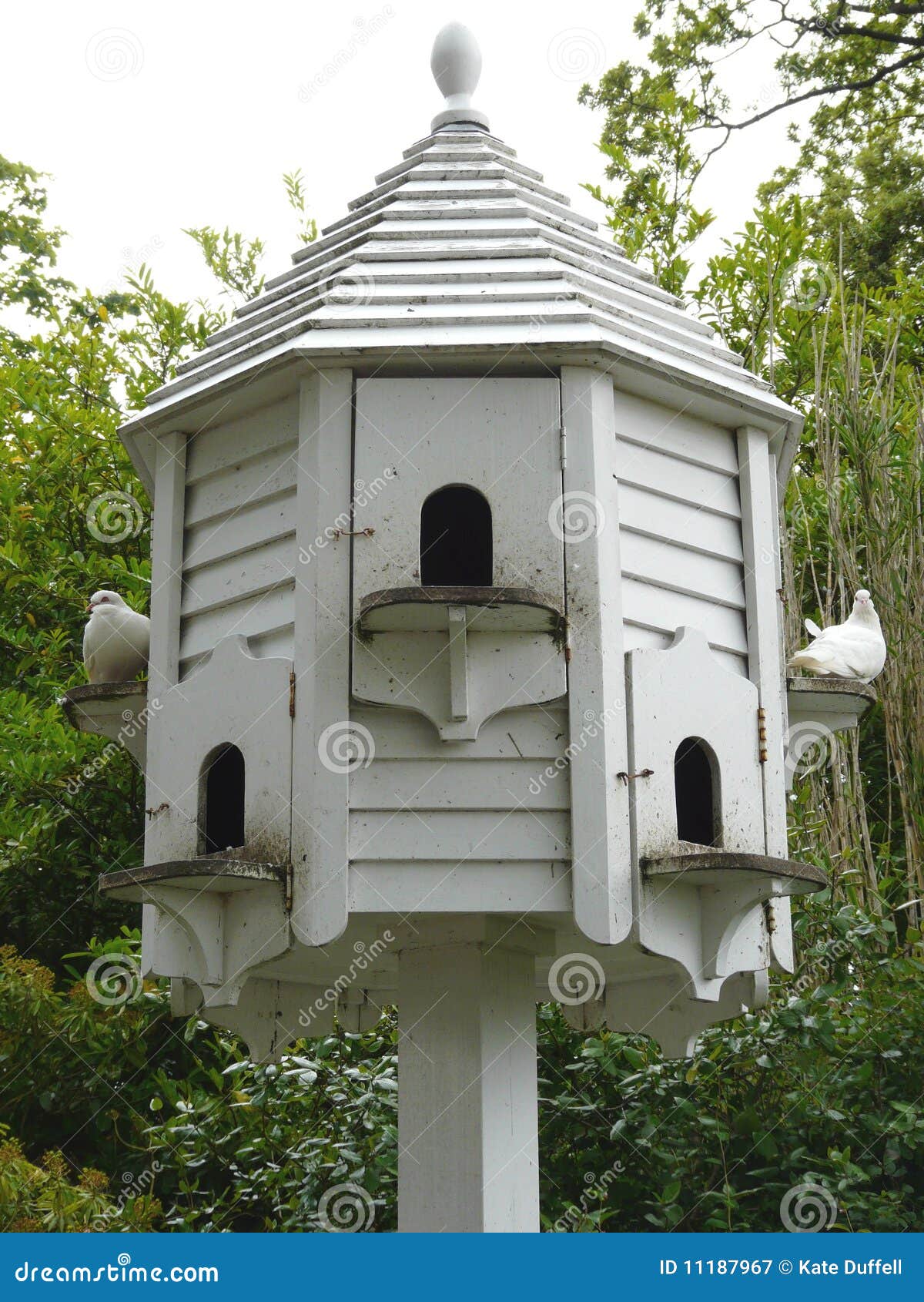 White dovecot stock image. Image of wooden, flying, rustic - 11187967