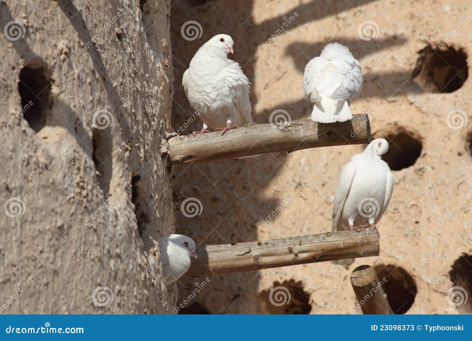 White doves stock image. Image of traditional, middle - 23098373