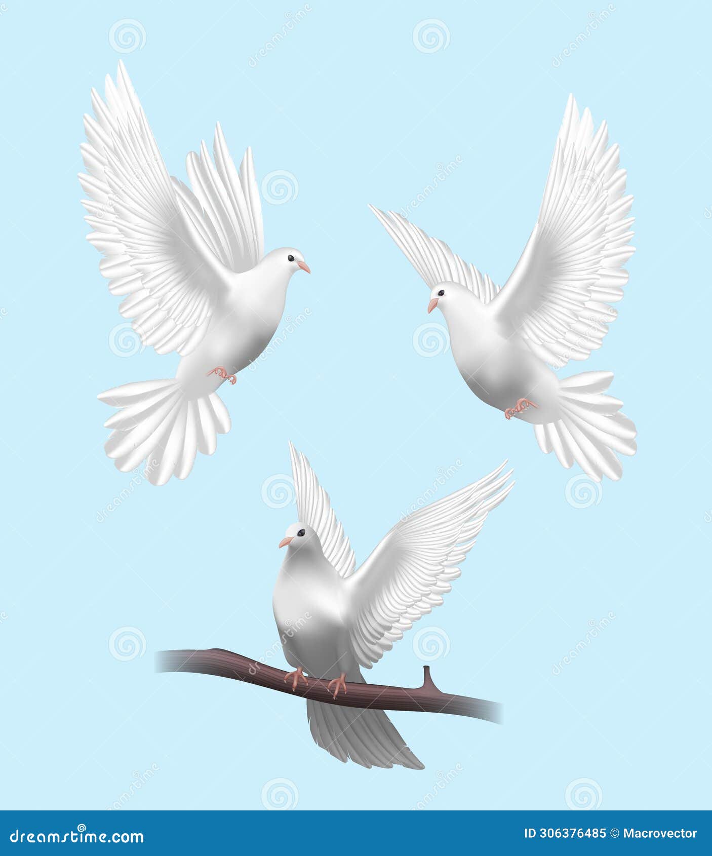 White Doves in Realistic Design Stock Illustration - Illustration of ...