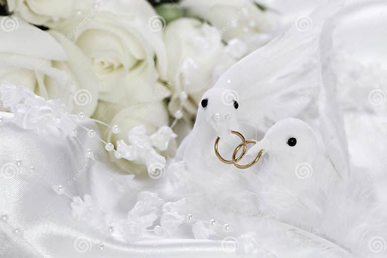 White Doves with Wedding Rings Stock Image - Image of rings, wedding ...