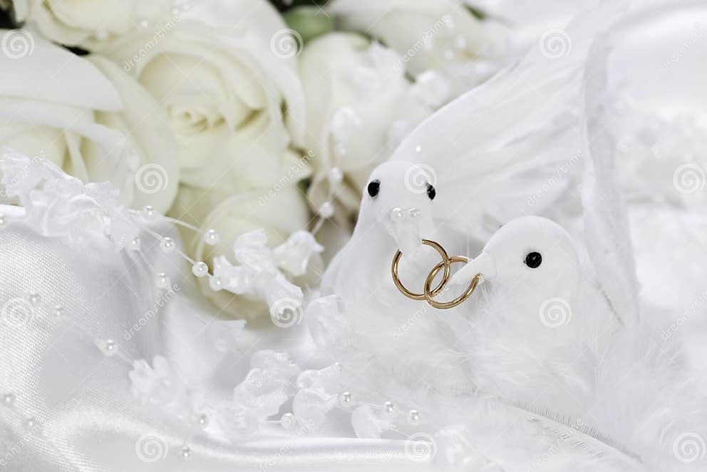 White Doves with Wedding Rings Stock Image - Image of rings, wedding ...