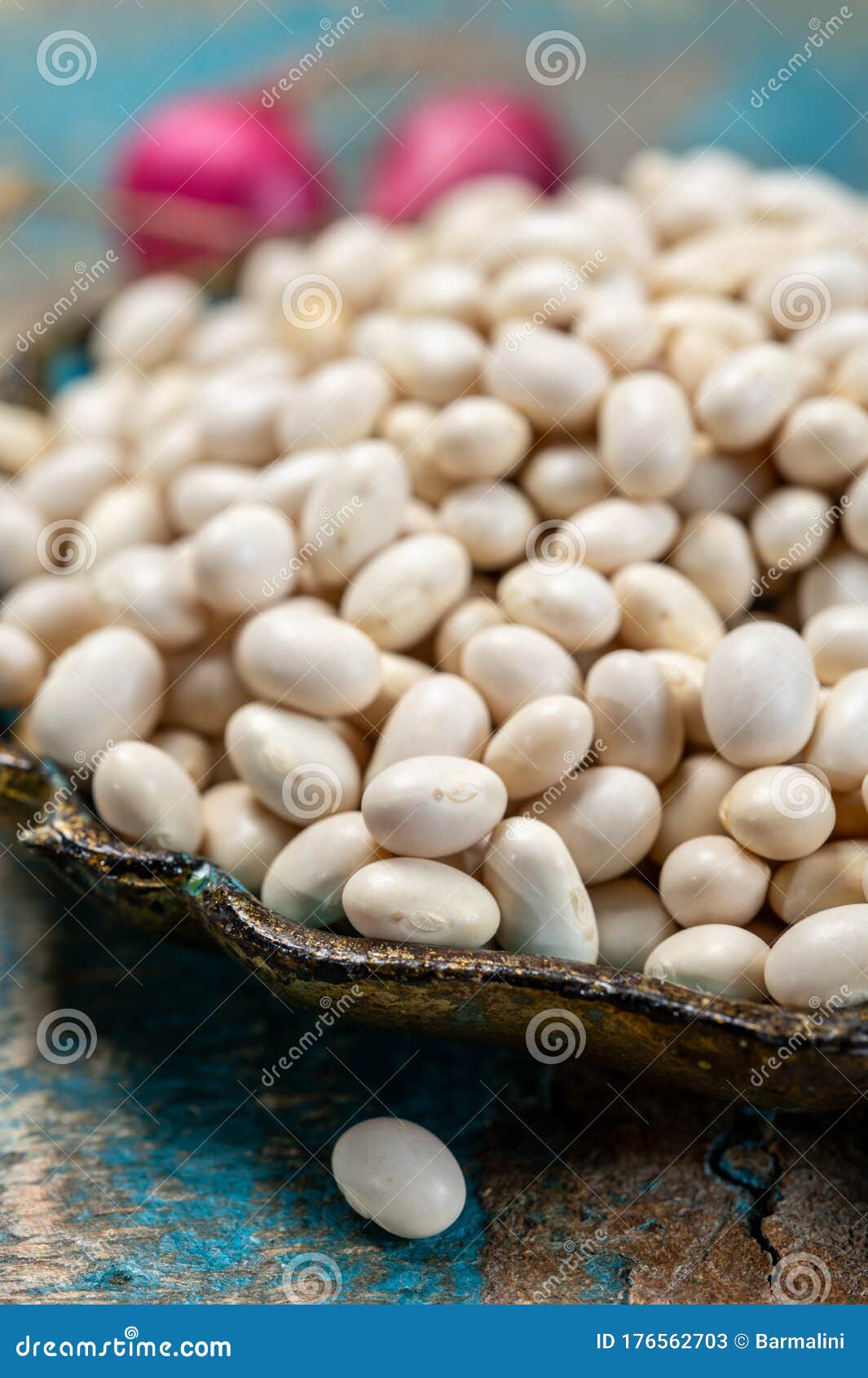 White Dried Small Beans Legumes in Bowl Stock Image - Image of protein ...