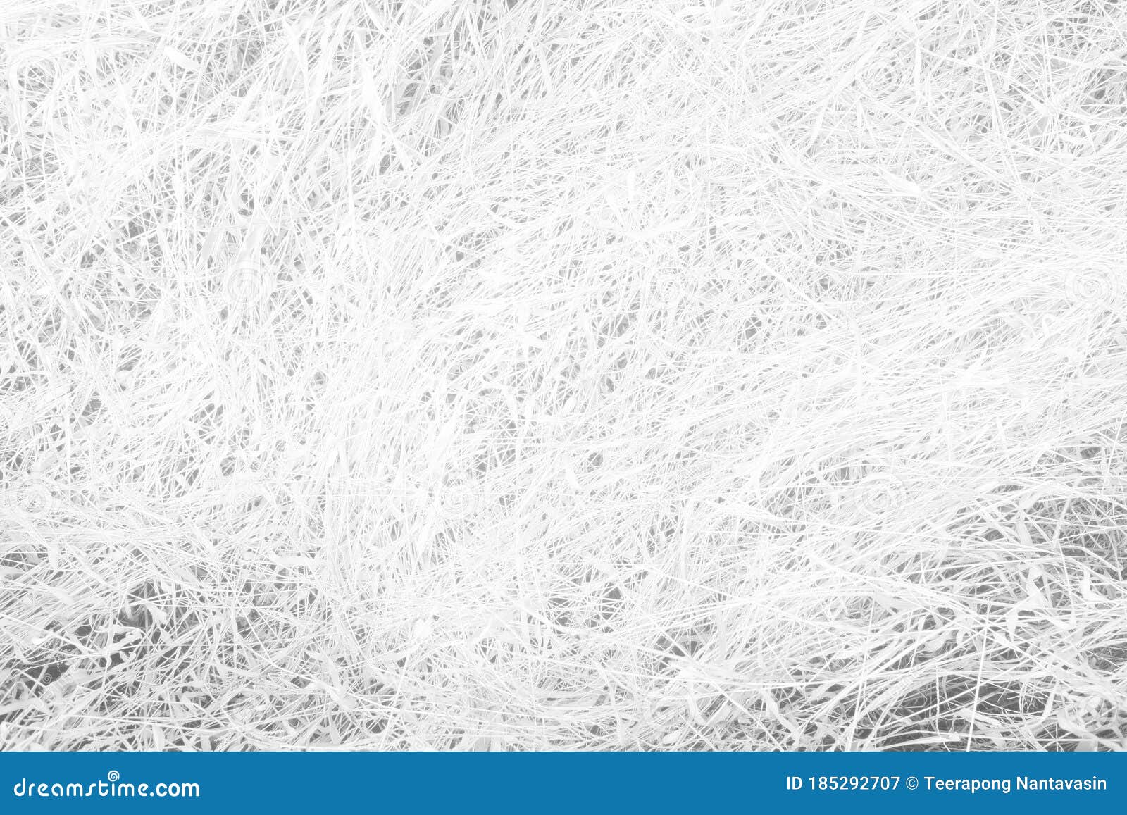 White Dried Straw Texture Background Stock Image - Image of decoration ...