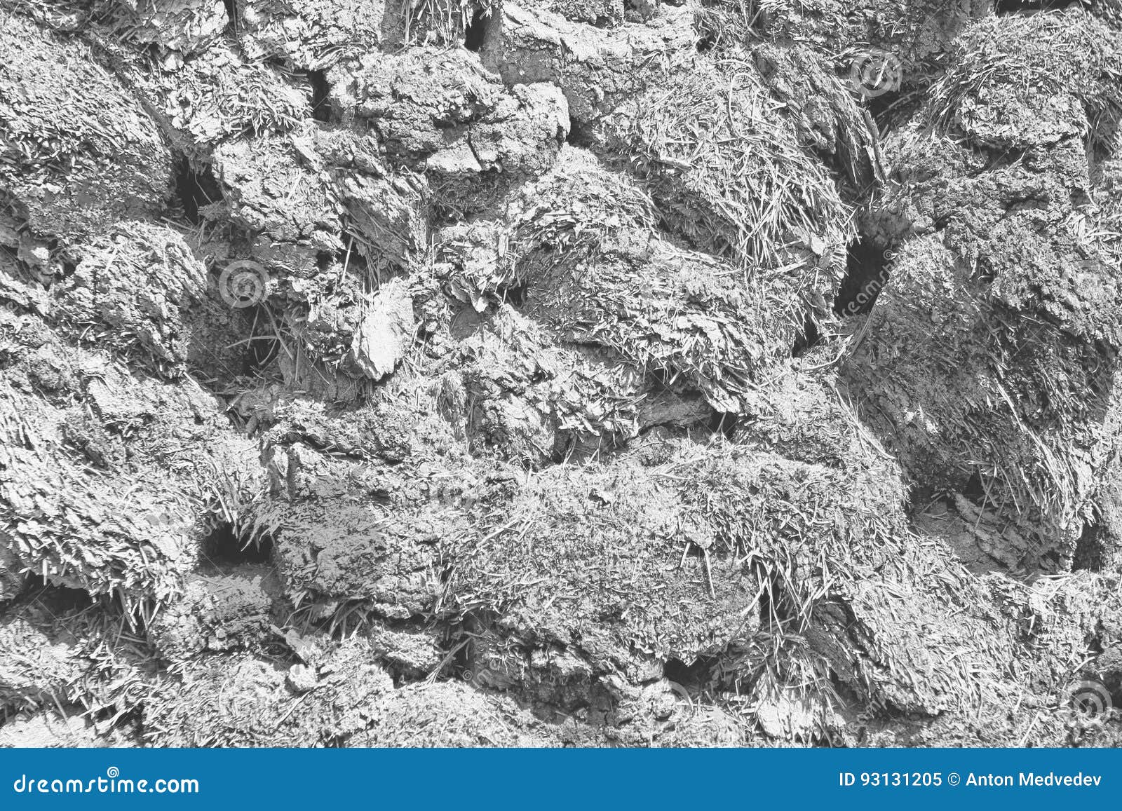 White Dry Manure Background Stock Image - Image of closeup, pattern ...