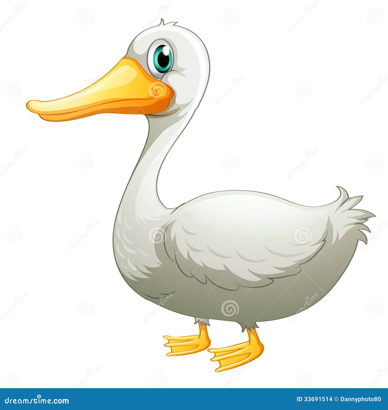 A white duck stock illustration. Illustration of animals - 33691514