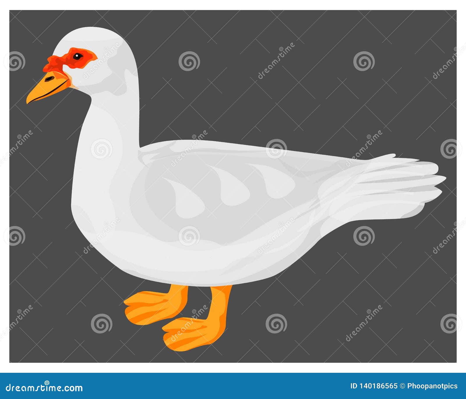 The white duck stock vector. Illustration of small, duck - 140186565