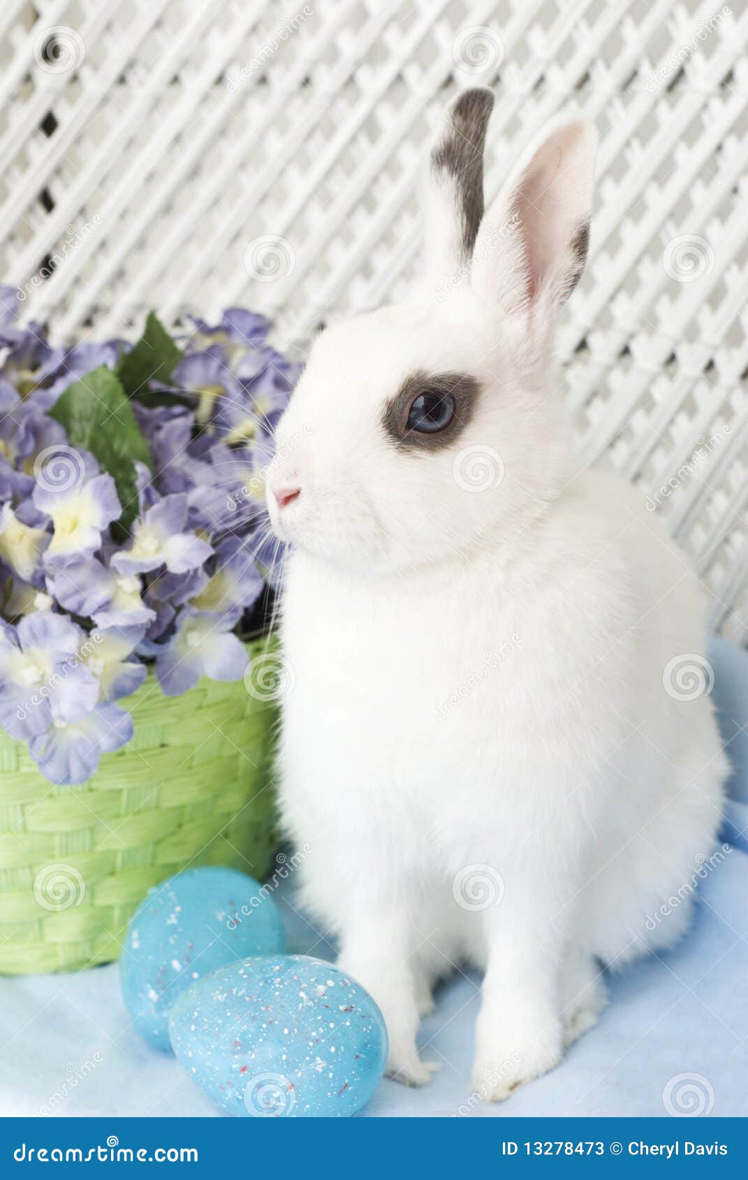 White Dwarf Easter Bunny stock image. Image of bunny - 13278473