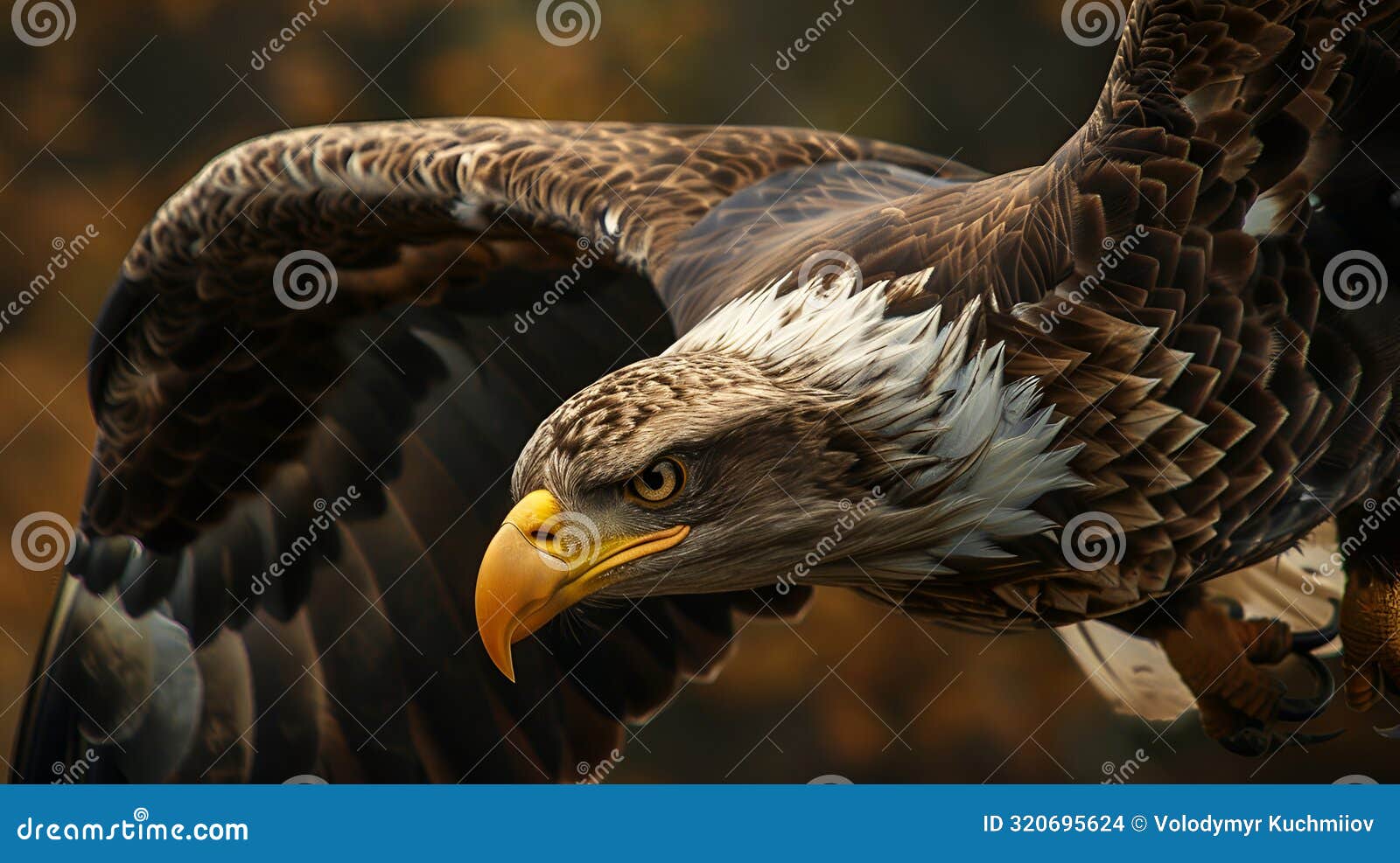 White Eagle with Open Wings in Flight Stock Illustration - Illustration ...