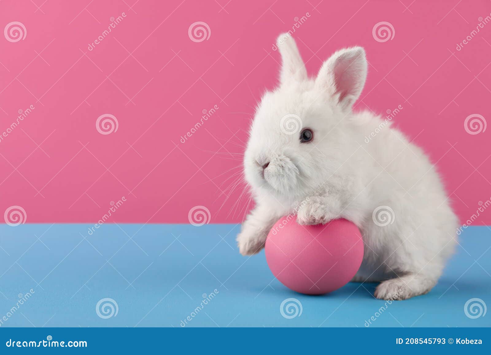 White Easter Bunny Rabbit with Pink Egg Stock Image - Image of bunny ...