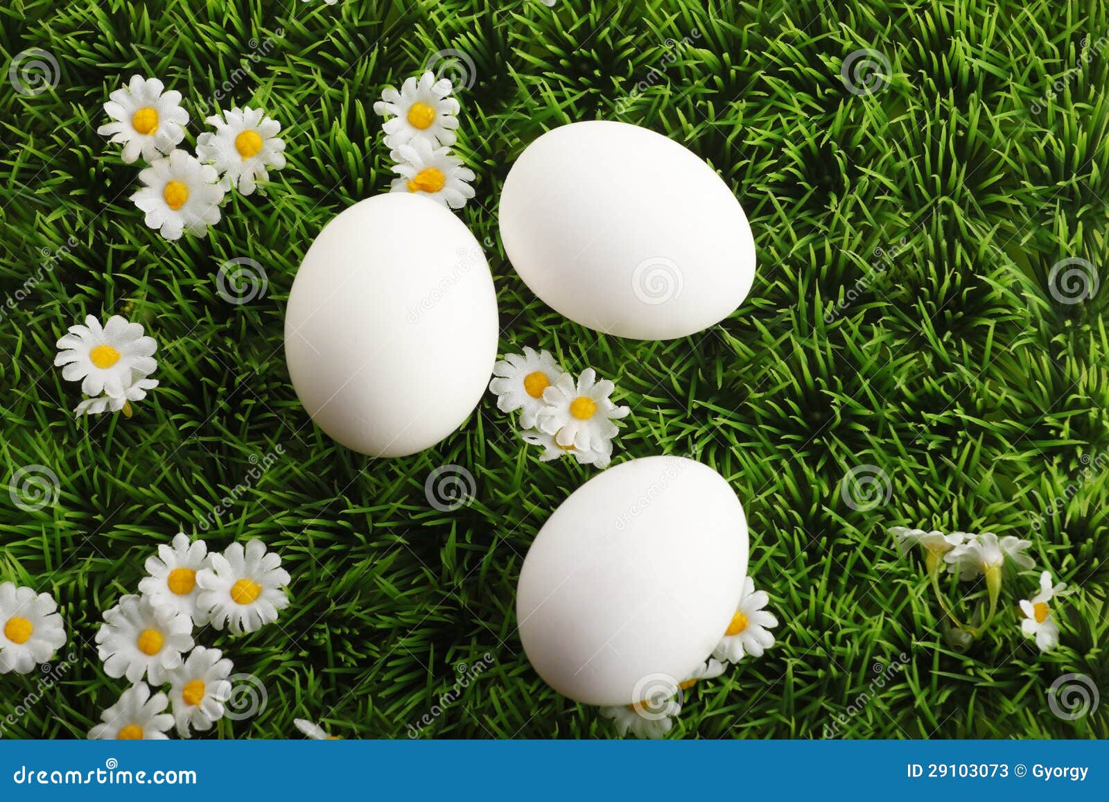 White Easter Eggs with Daisy Flowers in Grass Stock Image - Image of ...