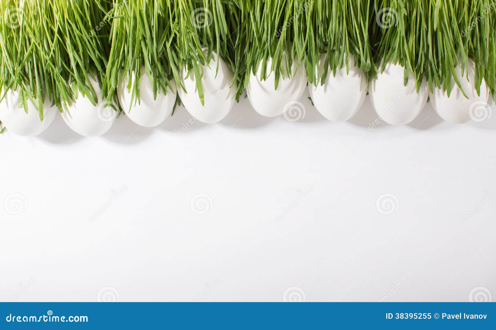 White Easter Eggs in the Grass Stock Image - Image of grass, spring ...