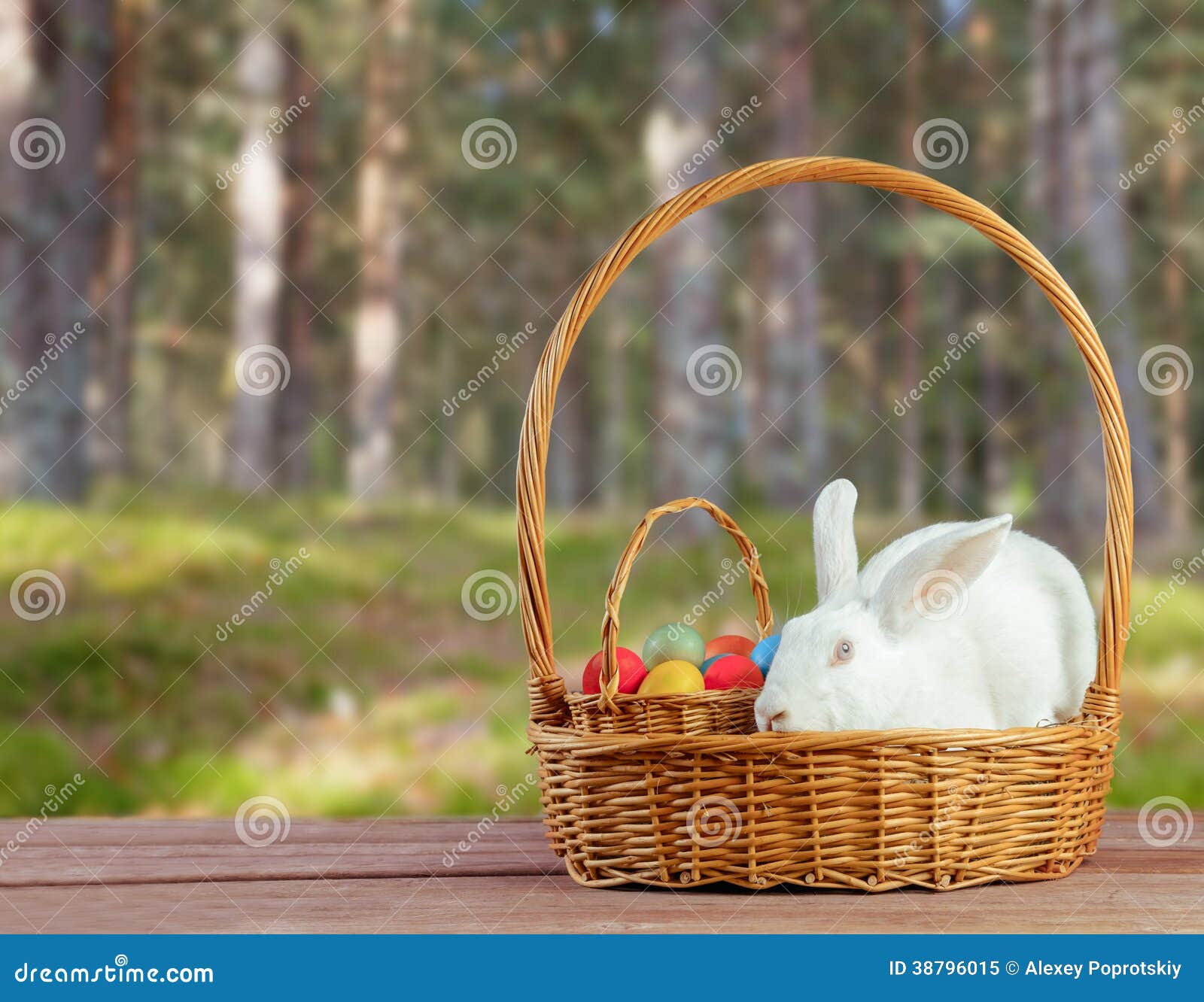 White Easter Rabbit Sits in a Basket Stock Image - Image of farm ...