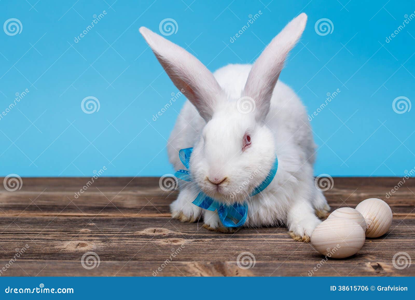 White easter rabbit stock photo. Image of rabbit, holiday - 38615706