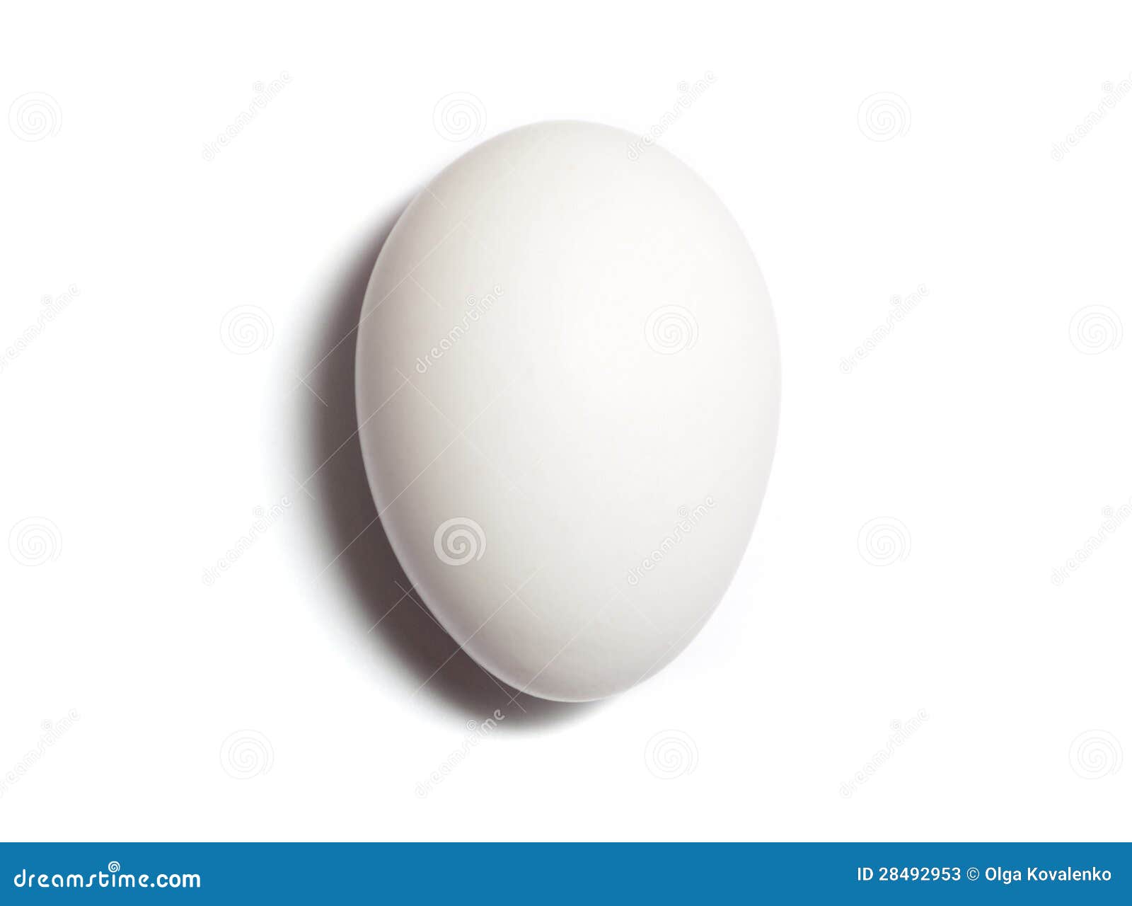 White egg stock image. Image of eggs, isolates, natural - 28492953