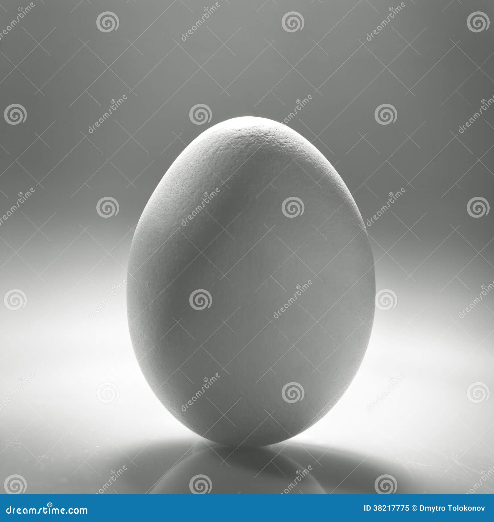 White egg stock image. Image of farm, ovoid, abstract - 38217775