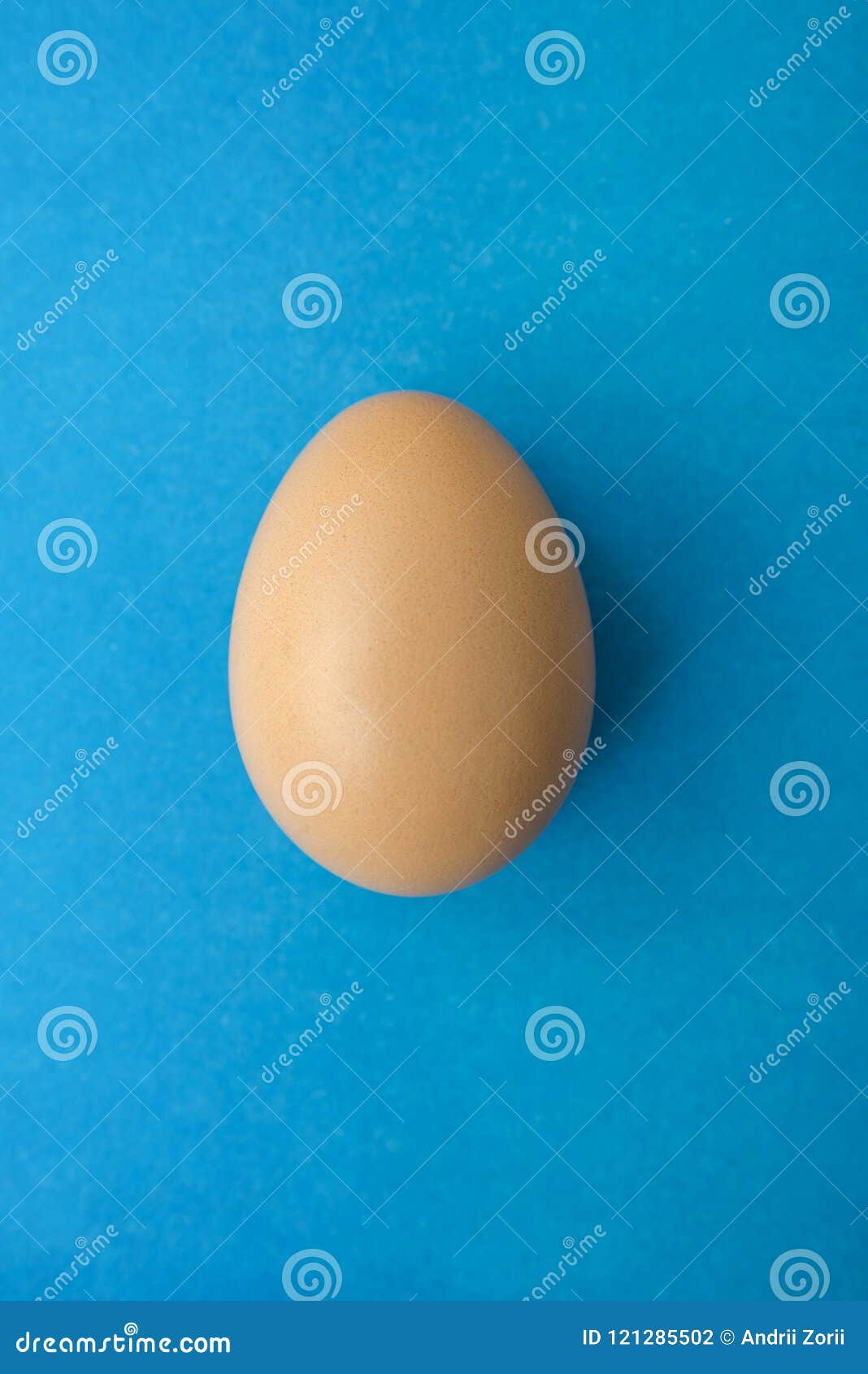 White Egg on the Blue Background in Center. Design, Visual Art ...