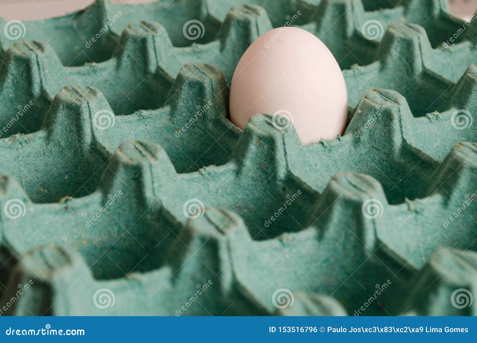 A White Egg in an Empty Green Egg Carton Stock Photo - Image of grid ...