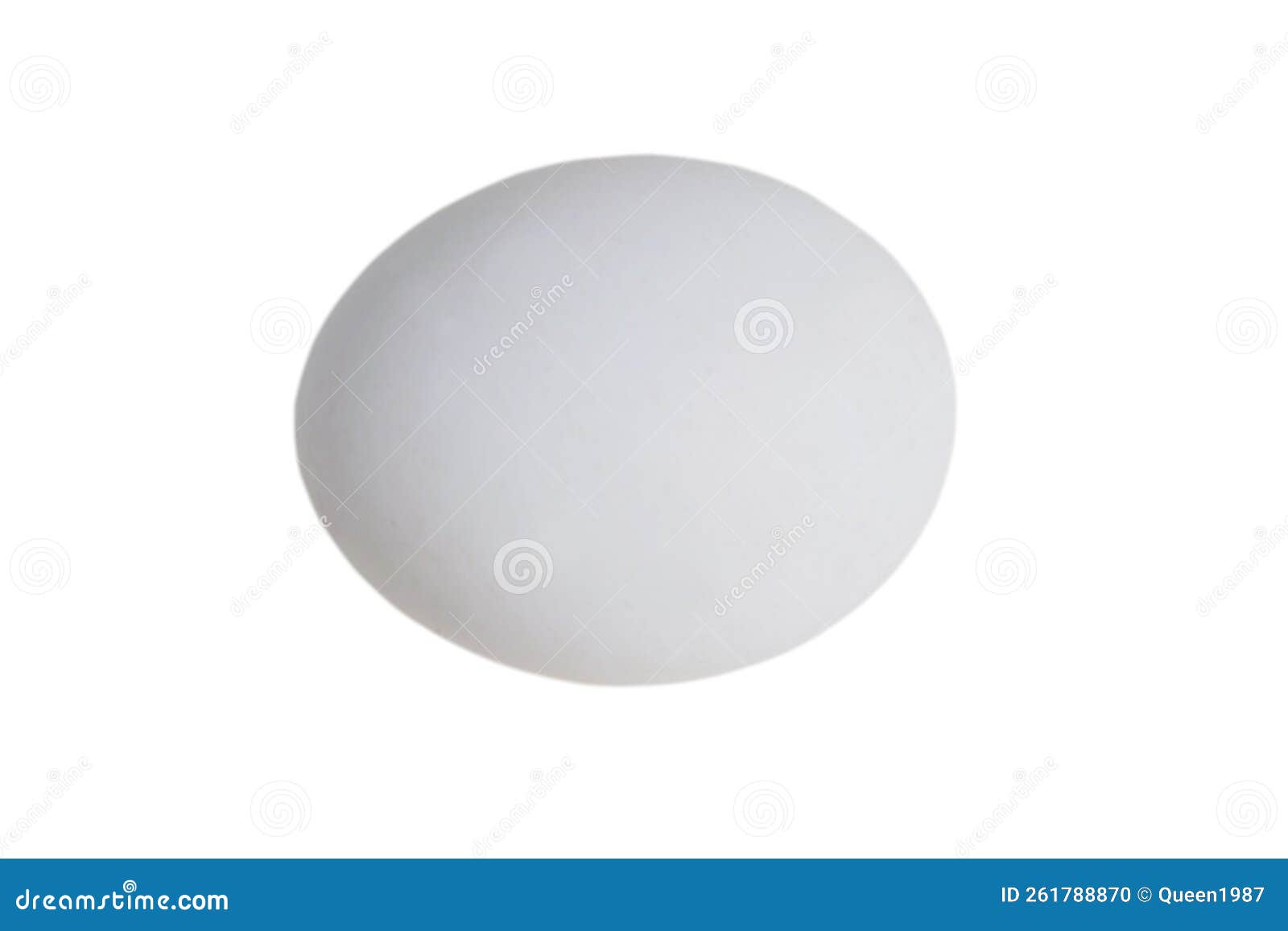 A White Egg Isolate Lies Sideways on a White Background with Copy Space ...