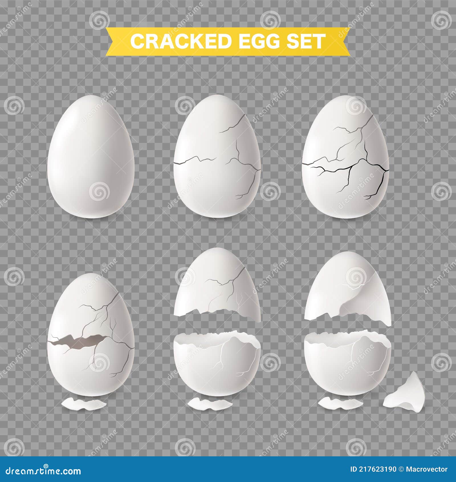 White Egg Transparent Set stock vector. Illustration of concept - 217623190