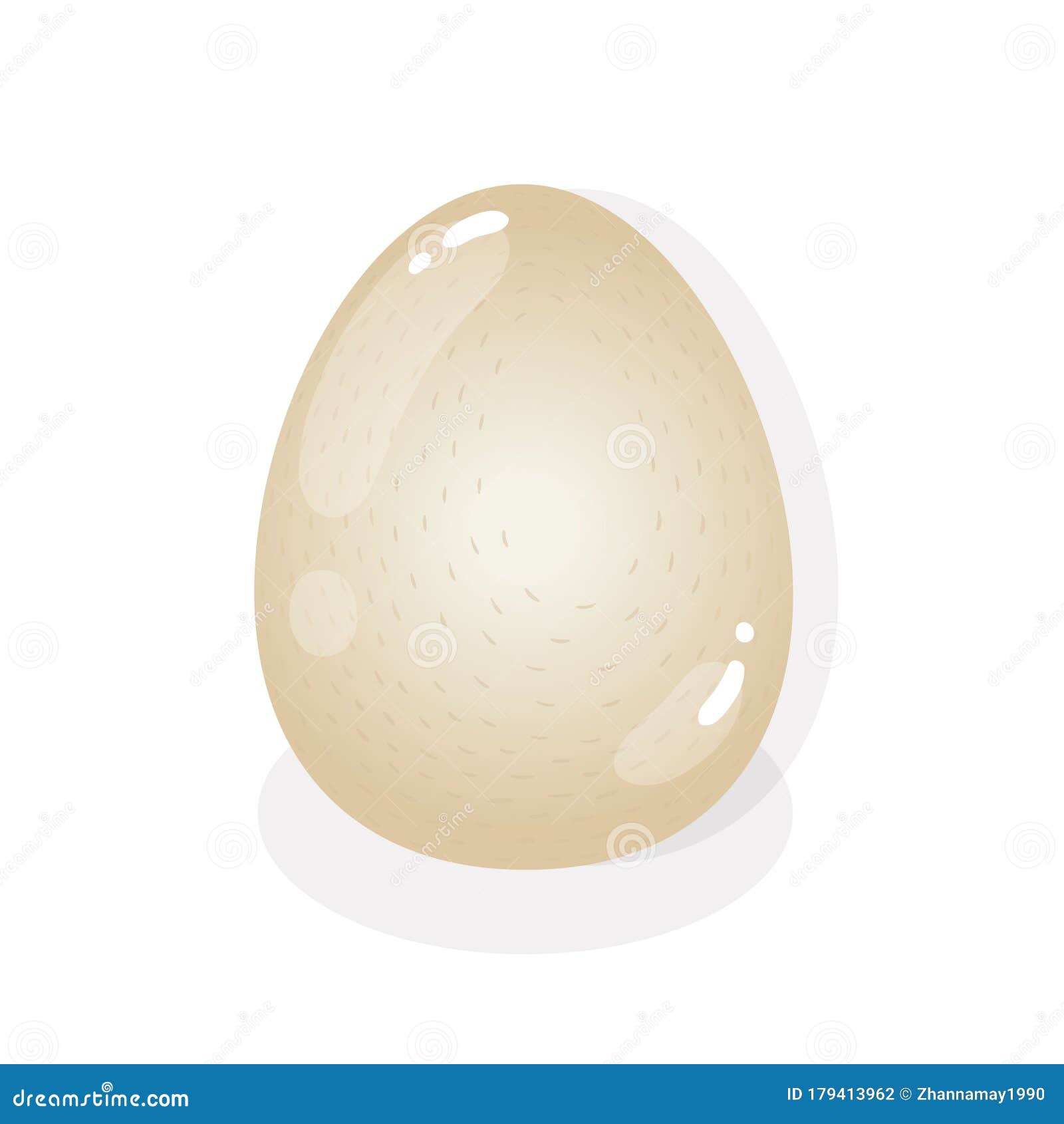 White Egg on a White Background. Stock Vector - Illustration of brown ...