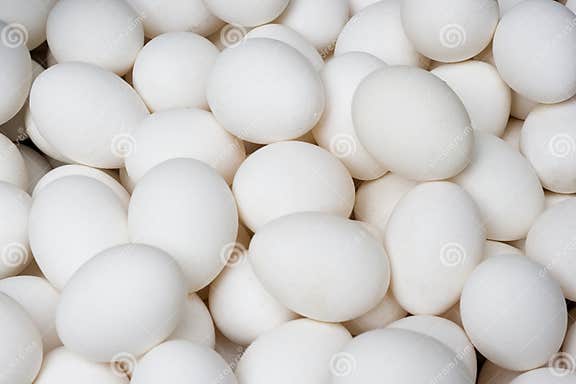 White Eggs stock image. Image of shell, market, diet - 10840357